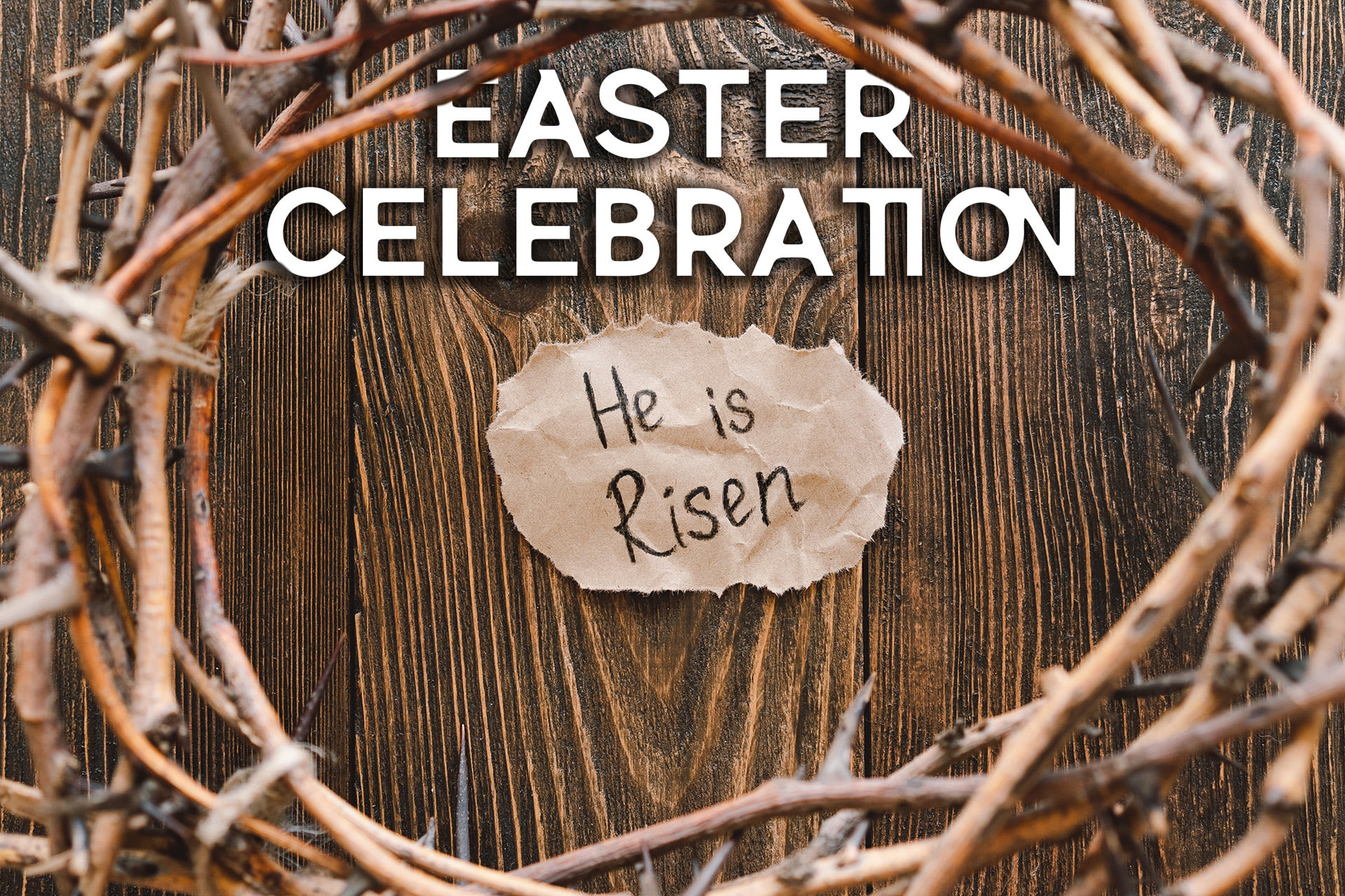 Upcoming Events – Doha Fellowship